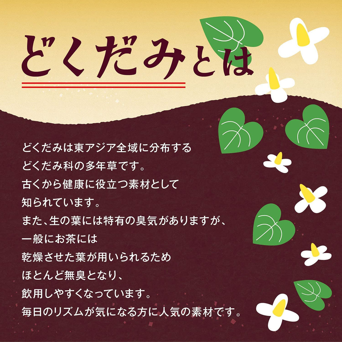 Orihiro Japanese Dokudami tea 1.5g x 26 packs – CosmeBear Official ...